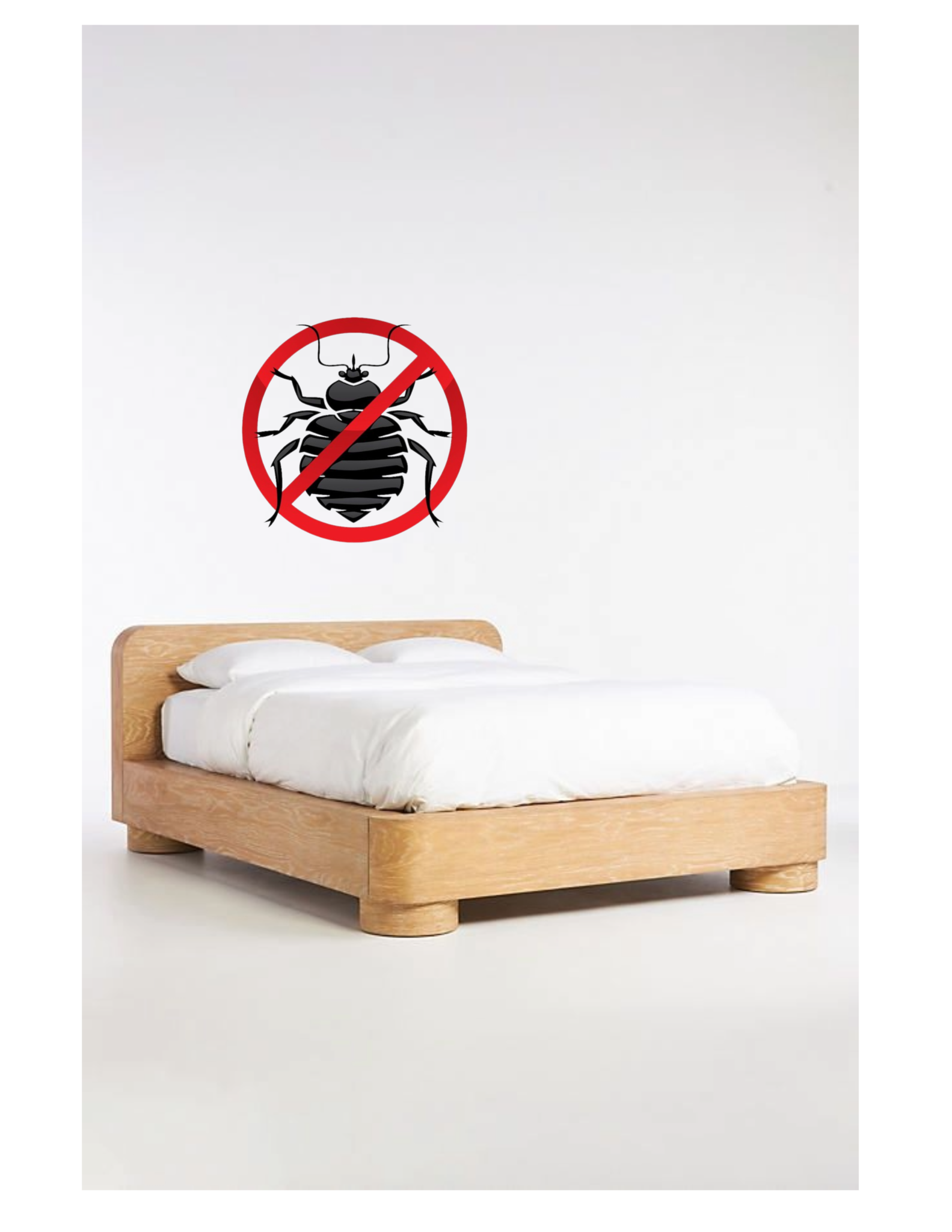 Comprehensive Guide to Controlling Bedbugs | Vermkil Consultants LTD